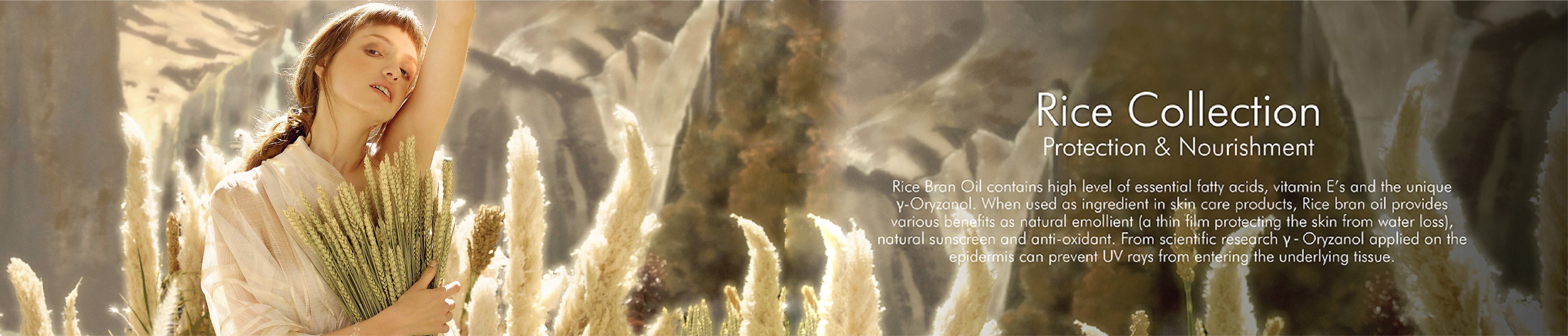 rc banner - THANN Vietnam